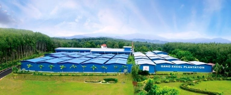 Organic Ganoderma Plantation – Gano Excel