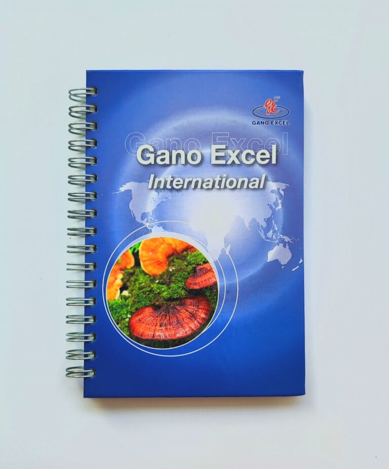 NOTEBOOK – Gano Excel